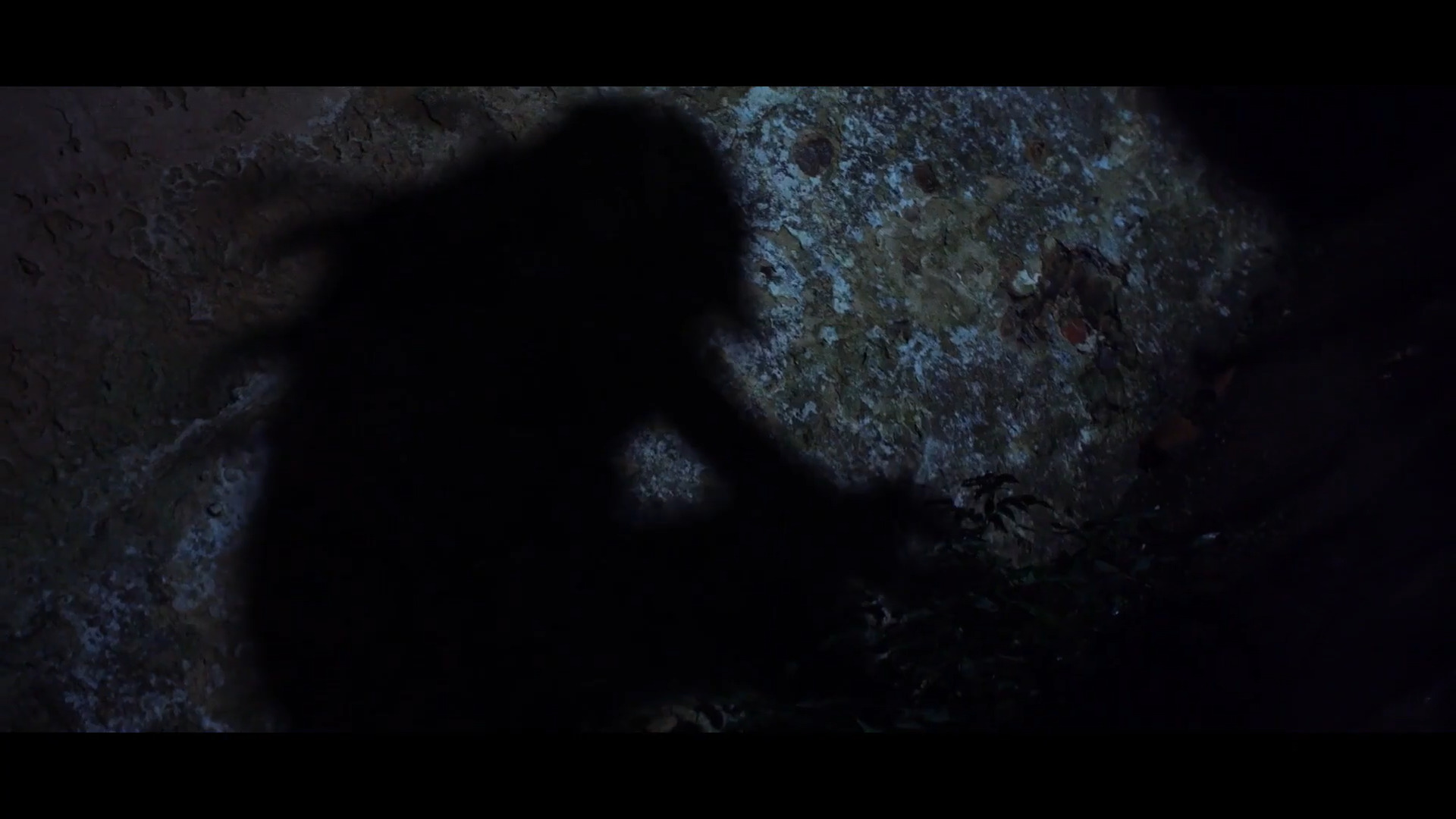 Deadly creepy forest creatures in "A Dark Path" - Ganiveta